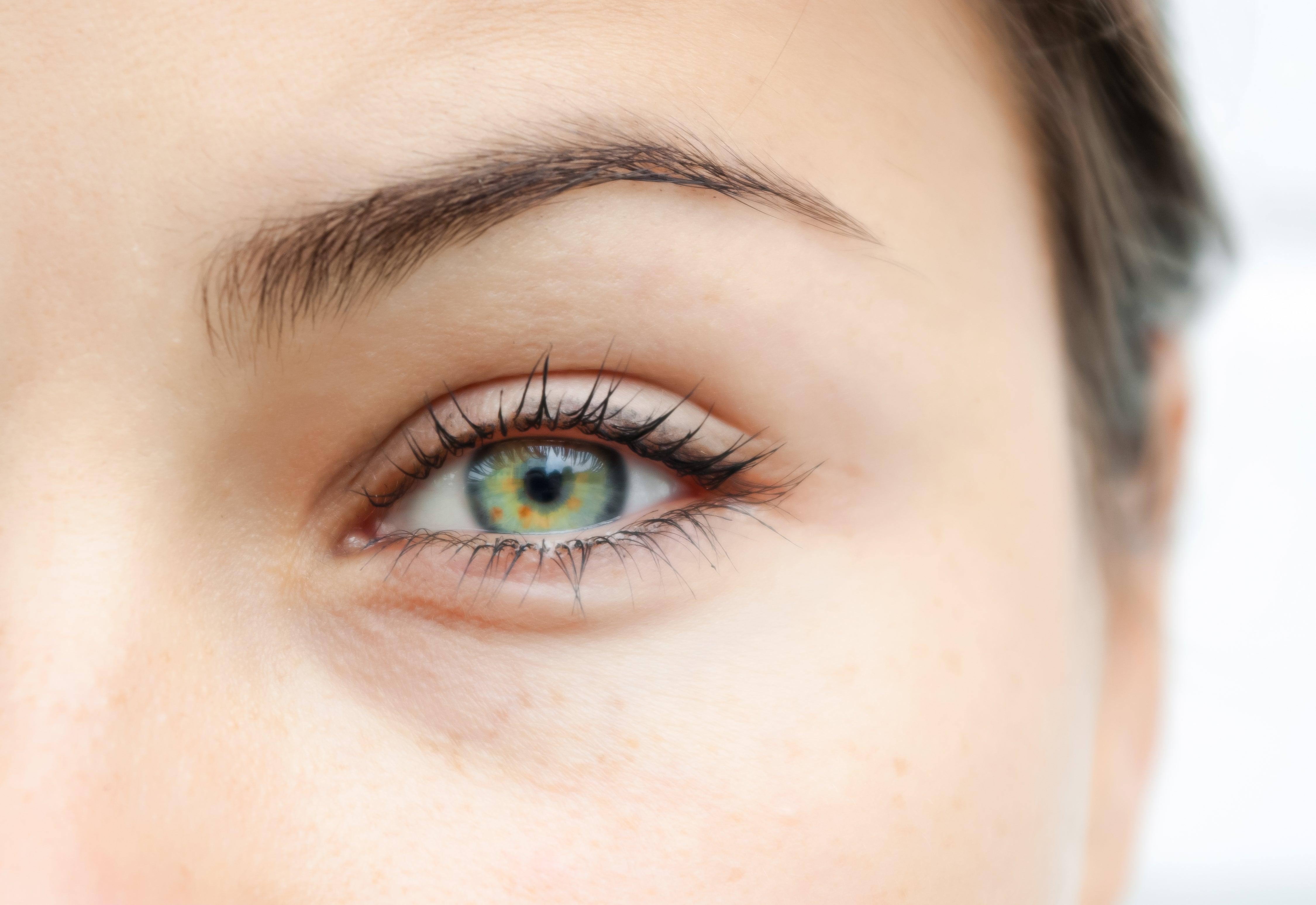 Macula Protection Through Nutrition: What Studies Show and Why Total N ...